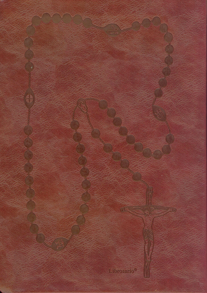 NABRE, The New Catholic Answer Bible, leather, large print — Fireside…