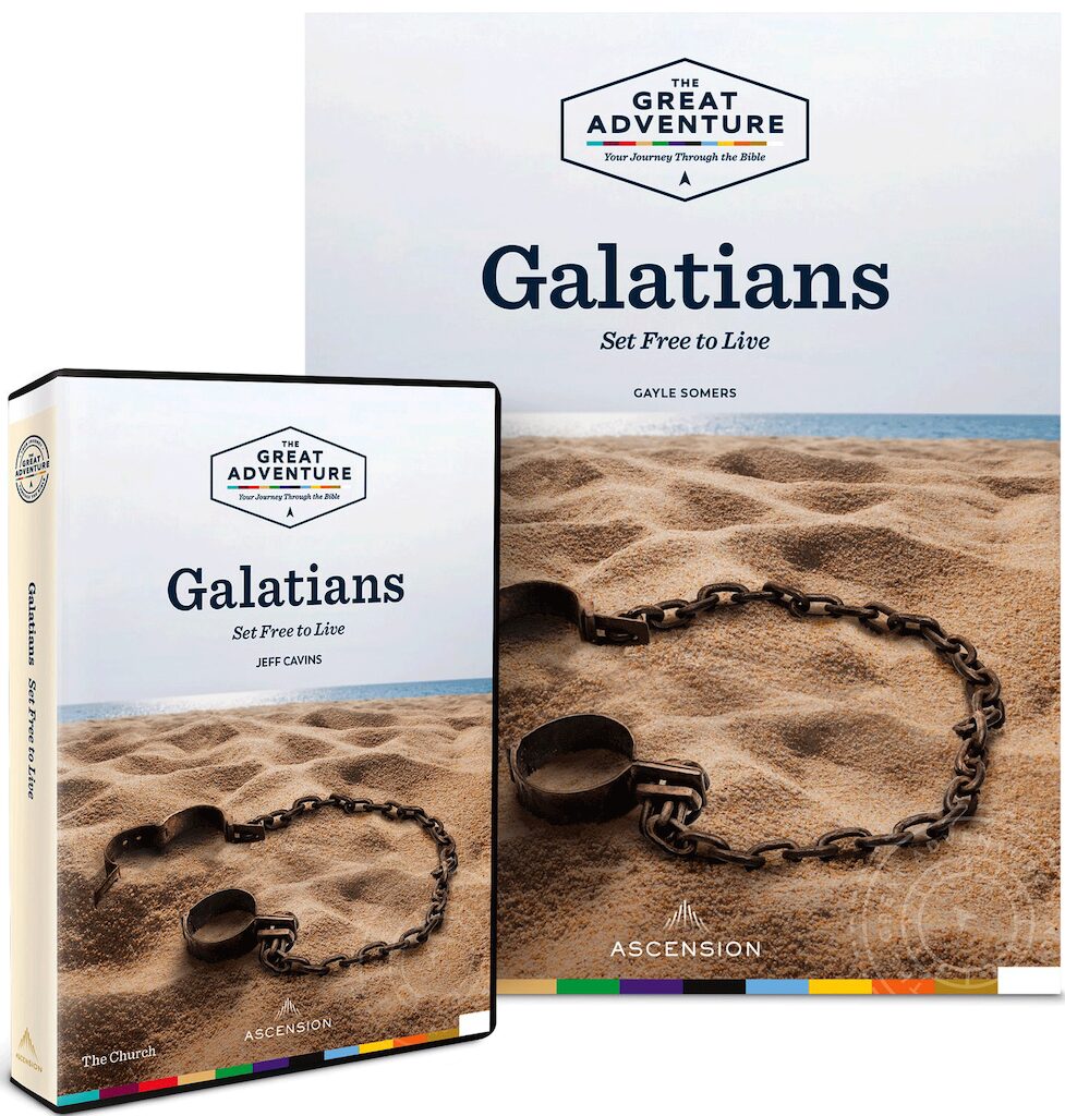 Galatians: Starter Pack + 1-year online access to videos and workbook…