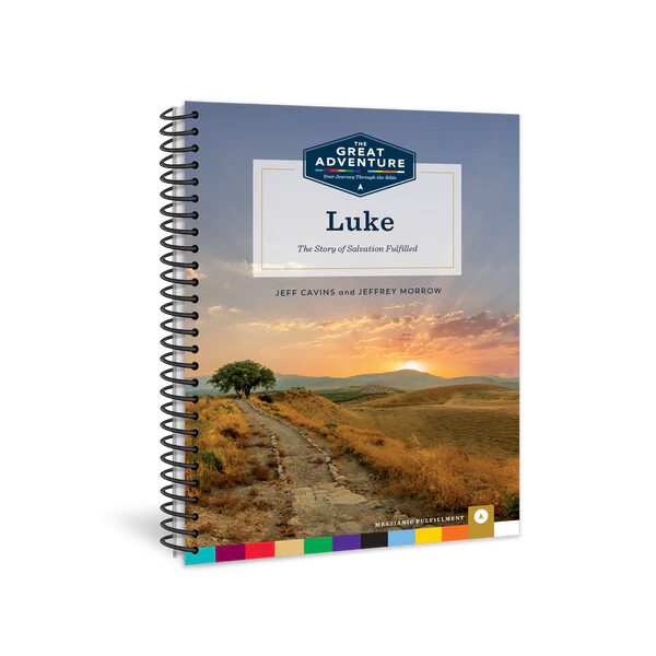 Luke: Participant Workbook — Ascension | Comcenter - Catholic Faith F…