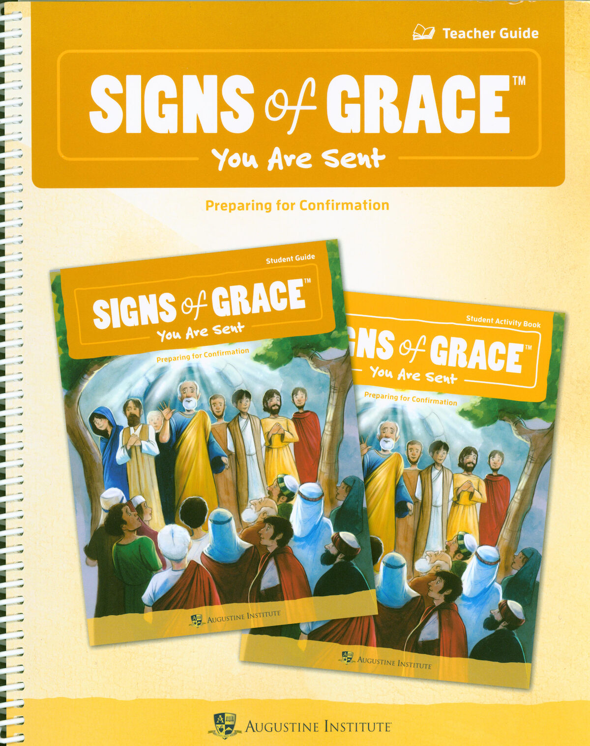 Signs of Grace: Confirmation: Teacher Guide — Augustine Institute | C…