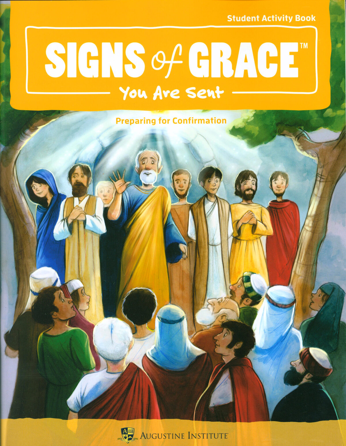 Signs of Grace: Confirmation: Activity Book — Augustine Institute | C…