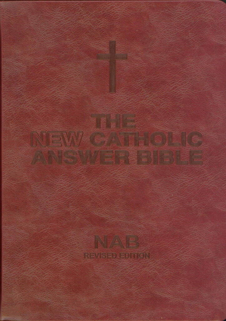 Large Print Revised Bible Covers