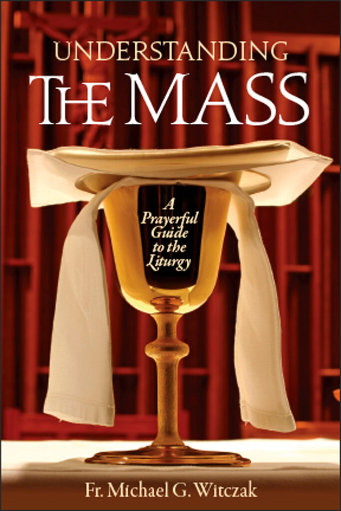 Understanding the Mass 2016 A Prayerful Guide to the Liturgy — Pflaum…
